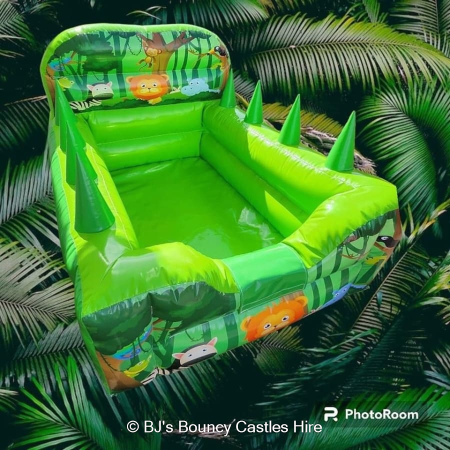 Ball Ponds Hire - Bexley | Soft Play Eltham | Bouncy Castles In Bexley