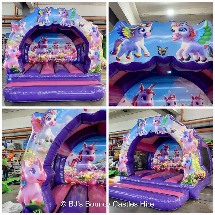 3D Bouncy Castles & Slides - Bouncy Castles Hire and Event Hire in ...