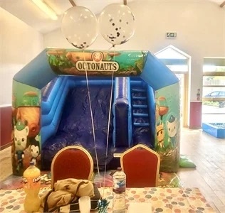 Octonauts JNR Slide Hire | Orpington, Beckenham, Croydon